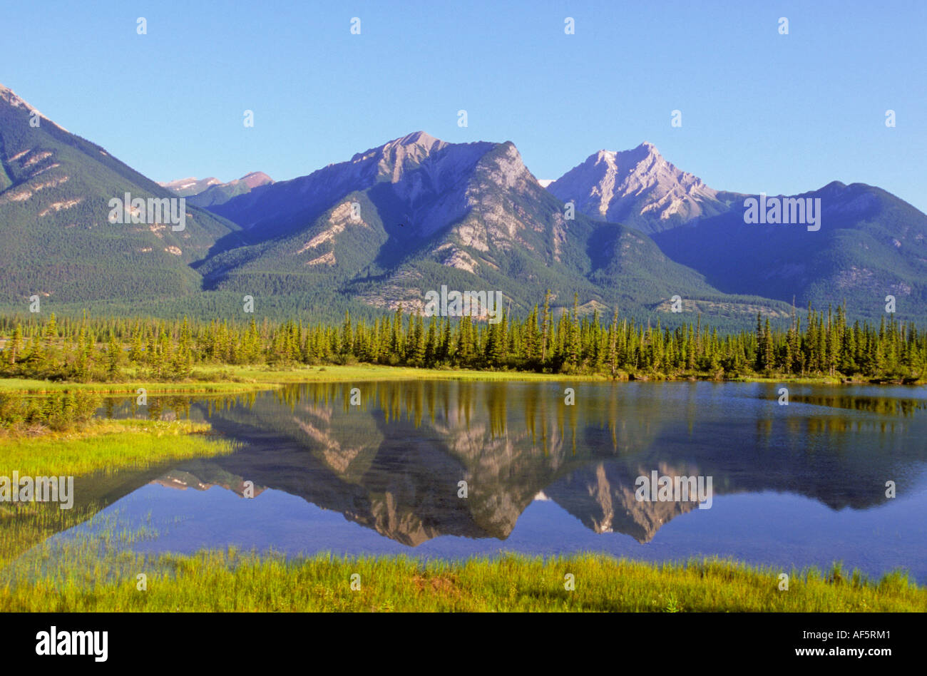 Jasper Lake scenic Stock Photo - Alamy