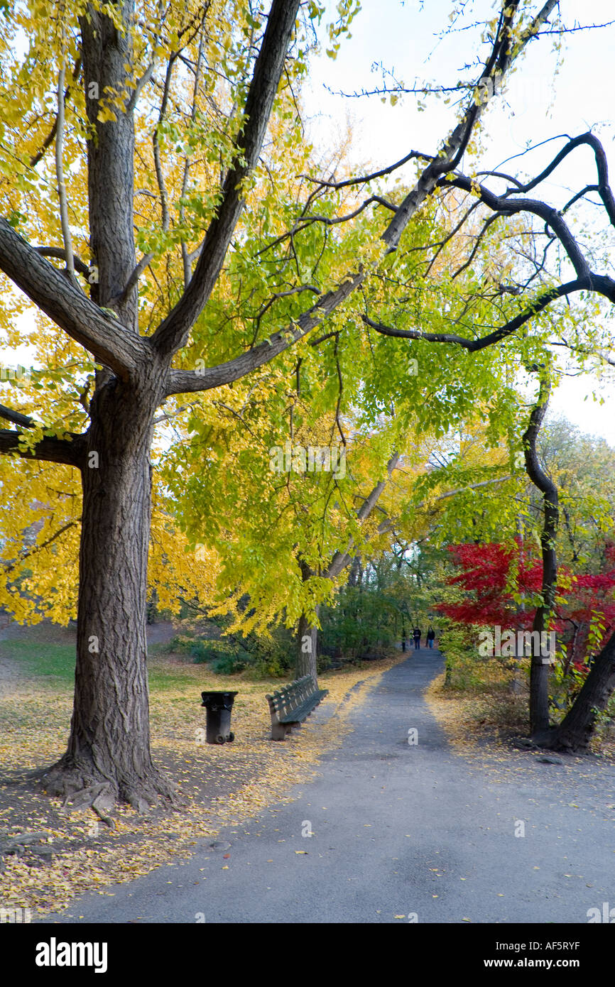 Fall in Central Park Stock Photo - Alamy