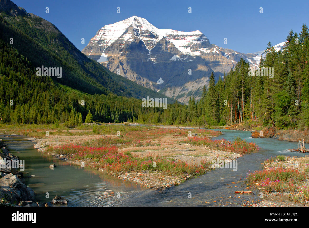 Mount robson provincial hi-res stock photography and images - Alamy