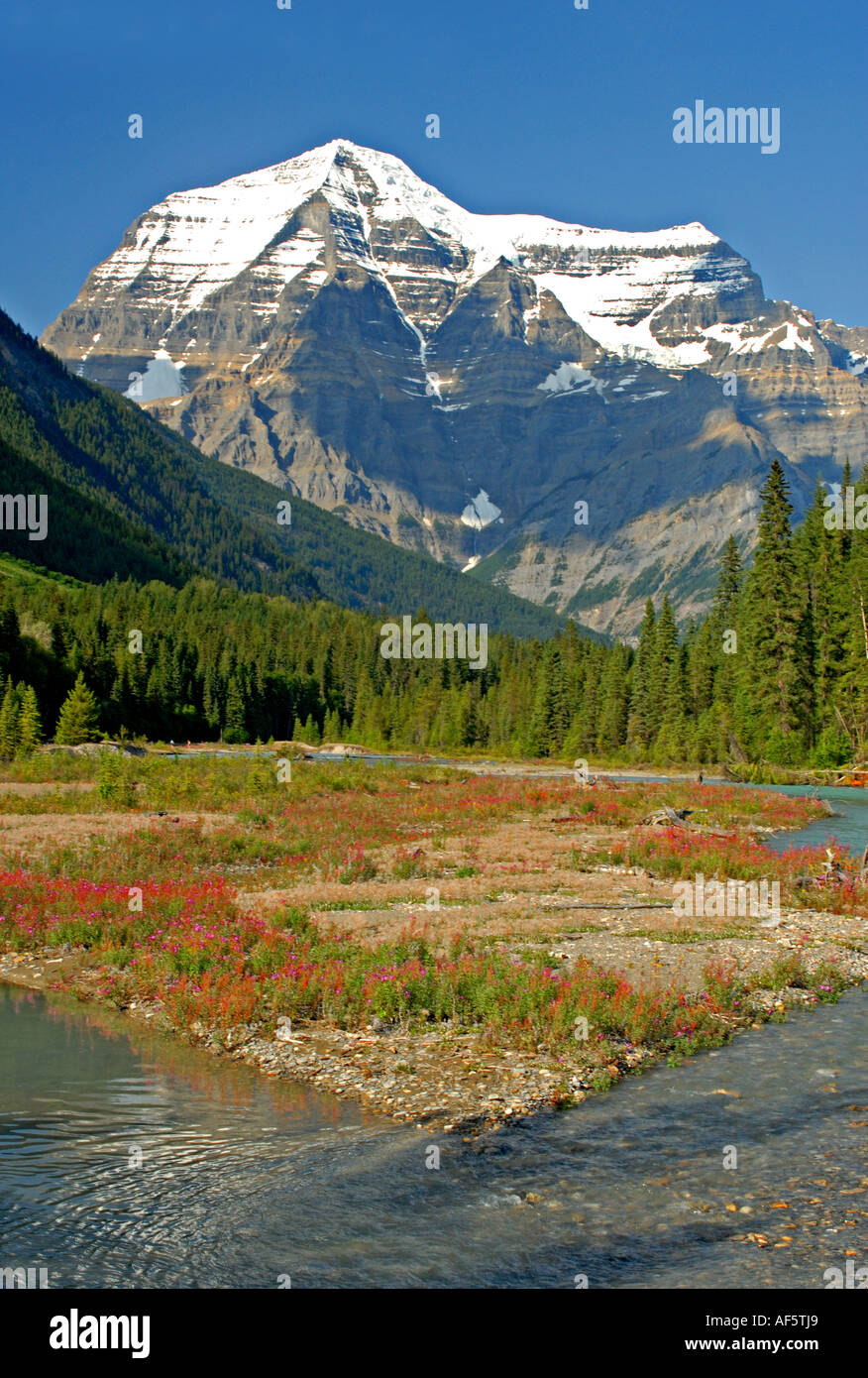 Mount Robson 9 Stock Photo - Alamy
