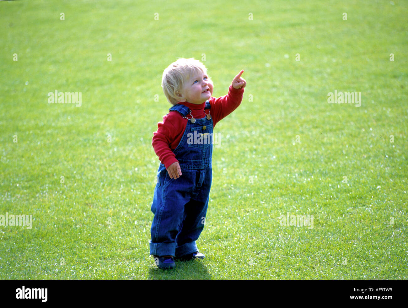 Baby toddling learning walk hi-res stock photography and images - Alamy