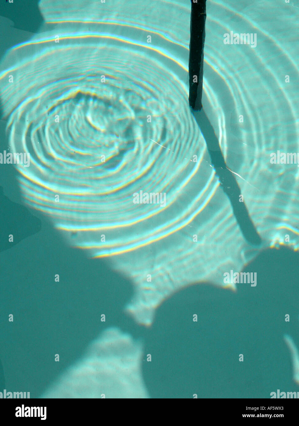 water reflections ripples fountain vertical Stock Photo - Alamy