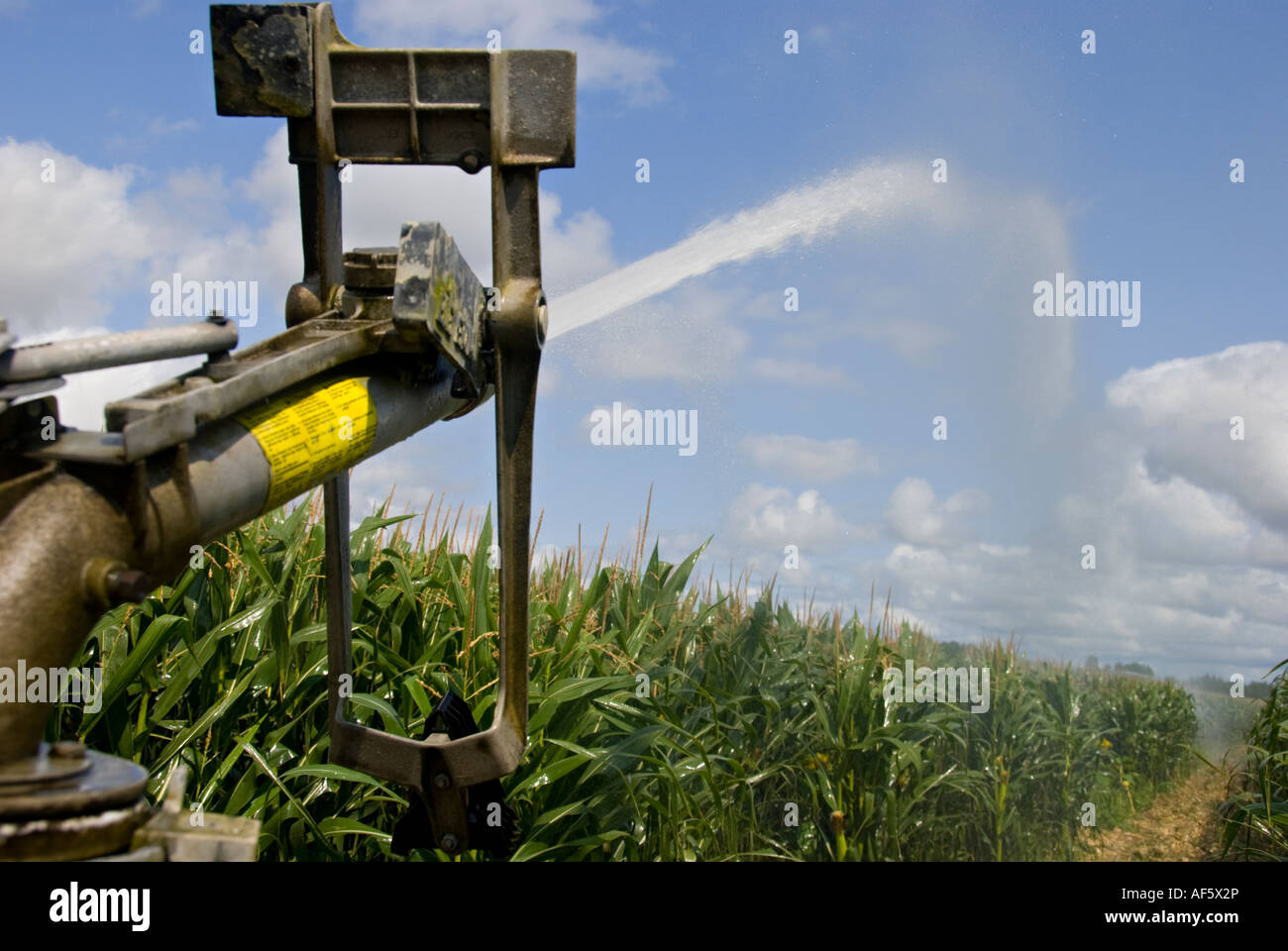 Irrigation of maize field in Charente France Stock Photo - Alamy