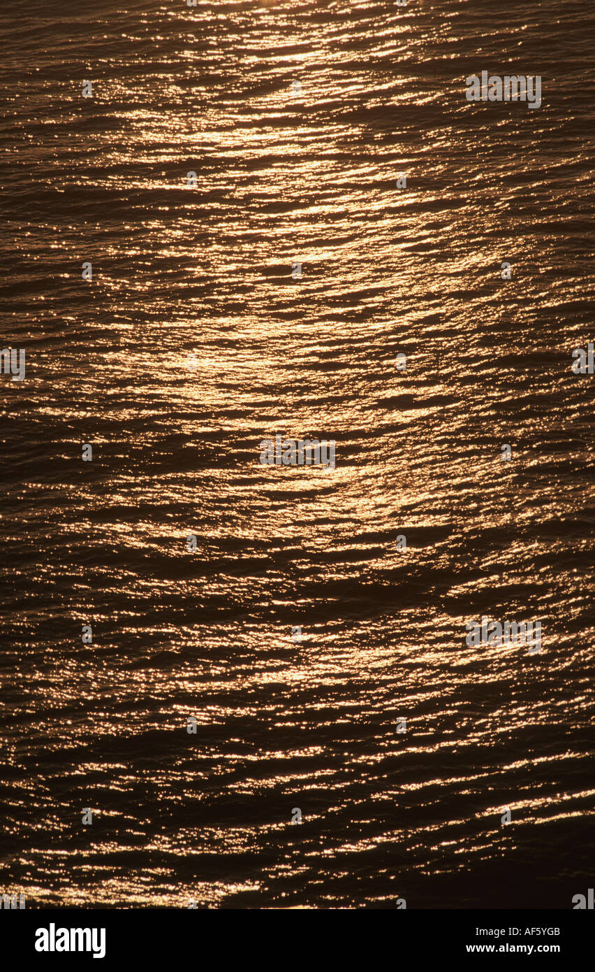 sea sun water reflection vertical background Stock Photo - Alamy