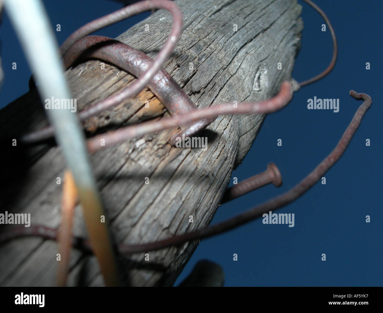 Old rusting nails hi-res stock photography and images - Alamy