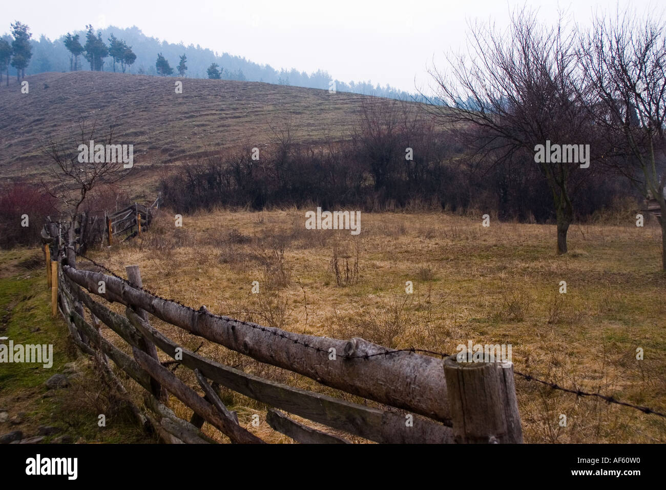 Rural scene, corral, Belitza village Bulgaria Balkans Stock Photo - Alamy