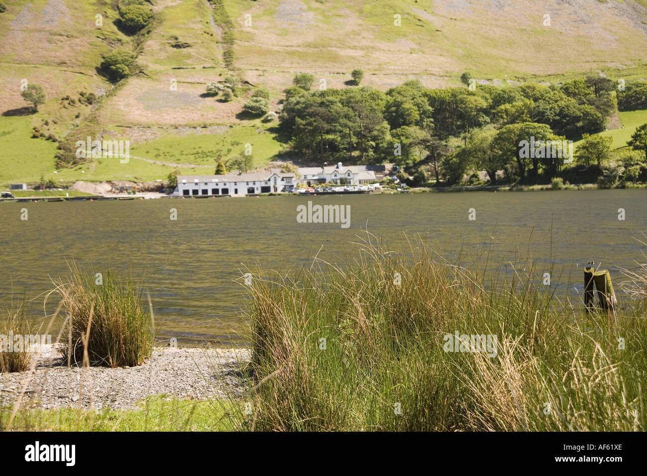 TAL-Y-LLYN GWYNEDD NORTH WALES UK June Looking across Tal y Llyn Lake ...