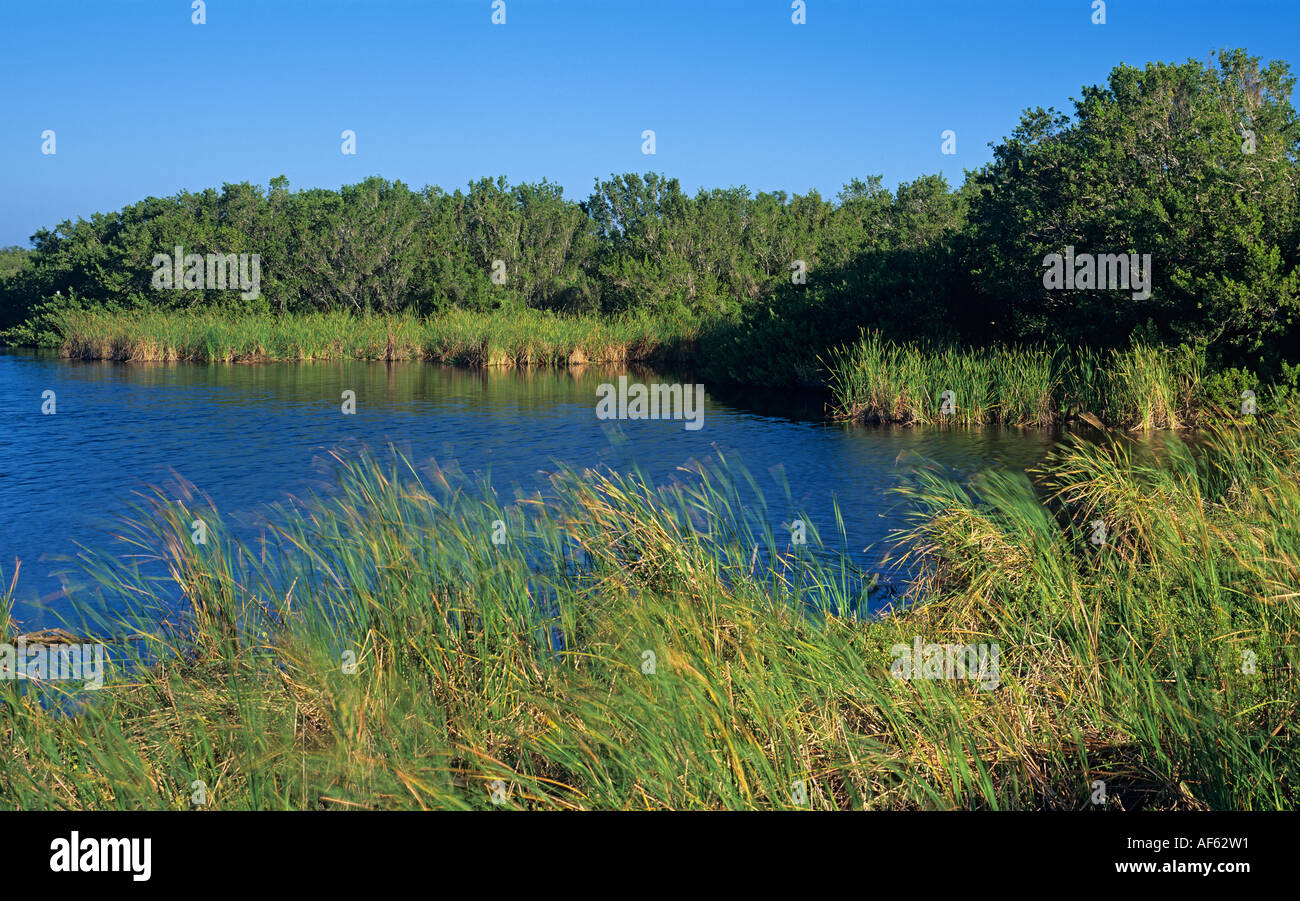 Ts384 hi-res stock photography and images - Alamy