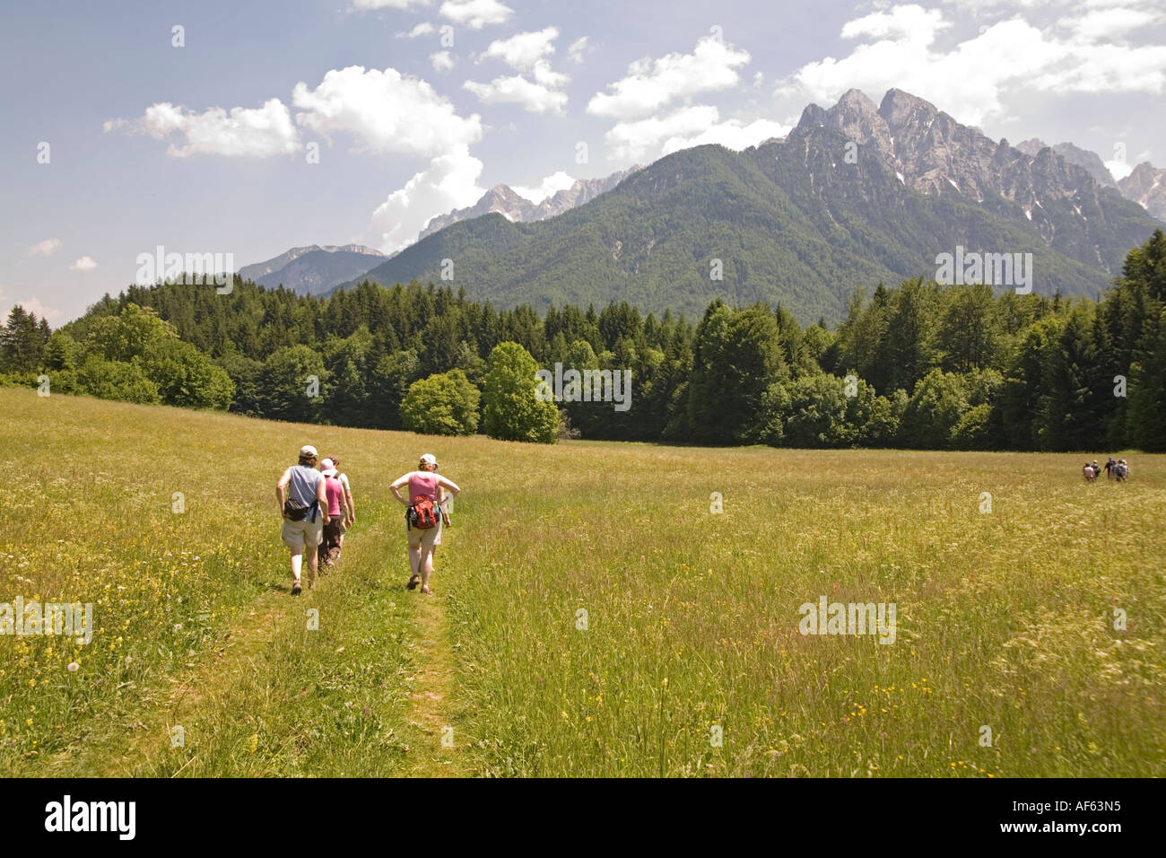 Group of ramblers walking hi-res stock photography and images - Alamy