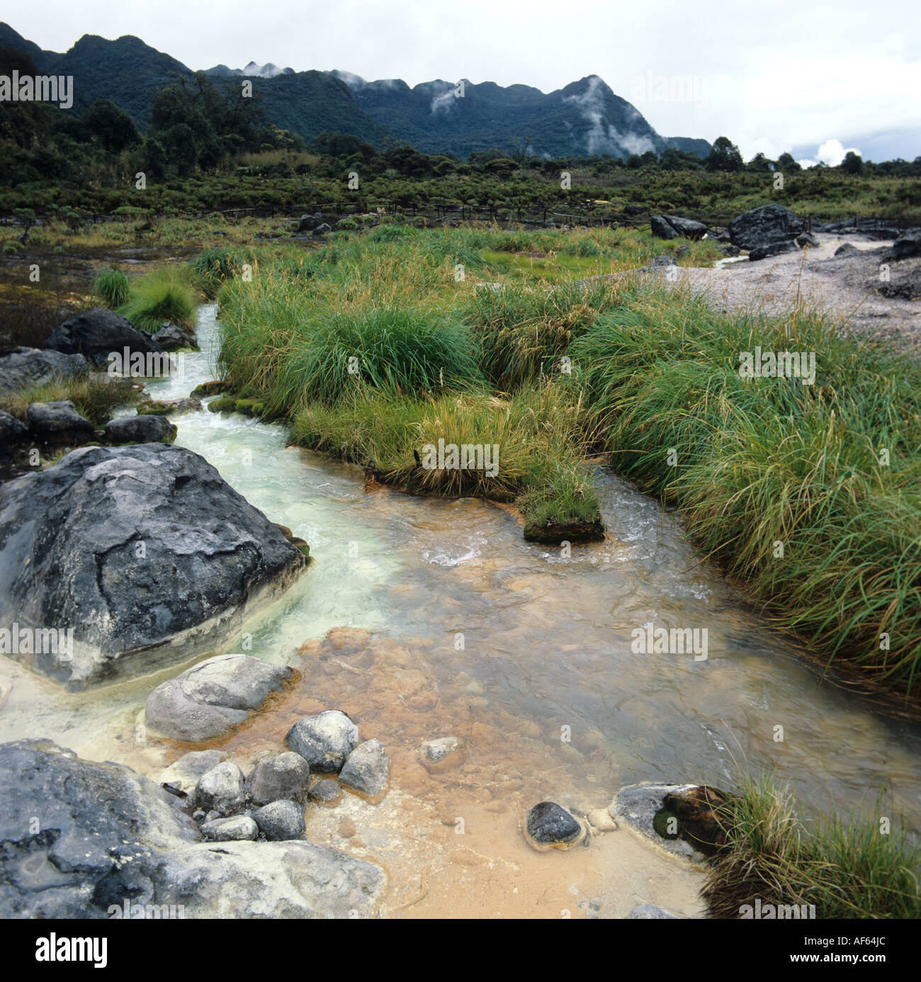 Hot volcanic springs in the Andes Mountains of Colombia at 4500 metres ...