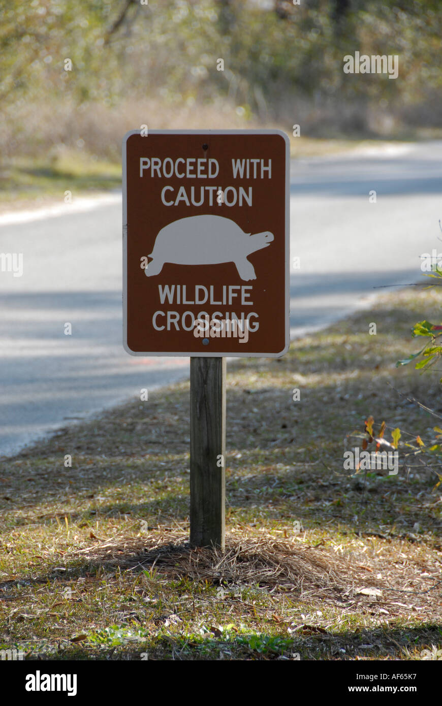Automobile signs along the road at Cape Canaveral National Sea Shore ...