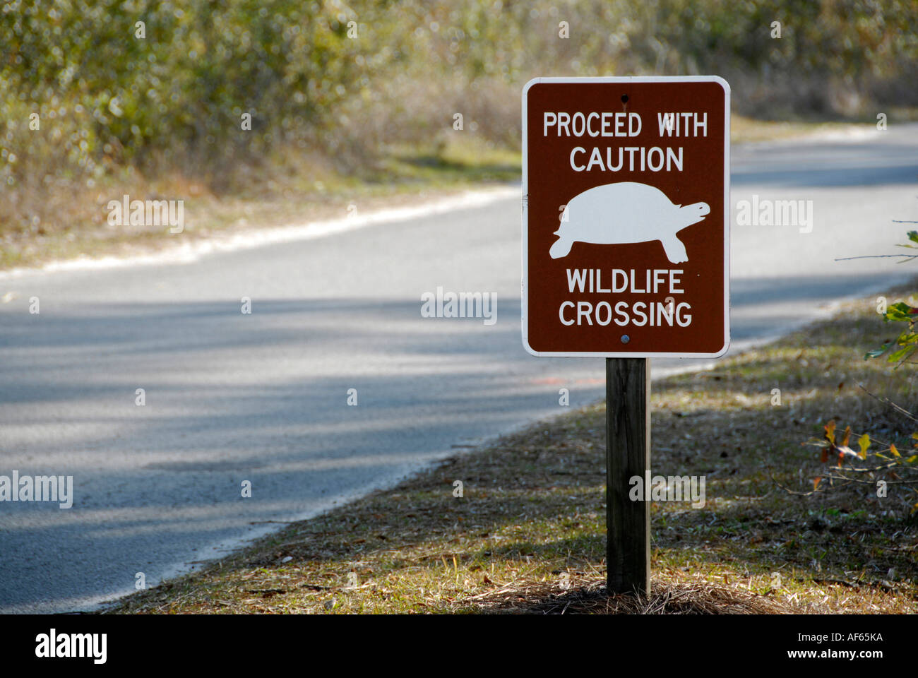 Automobile signs along the road at Cape Canaveral National Sea Shore ...
