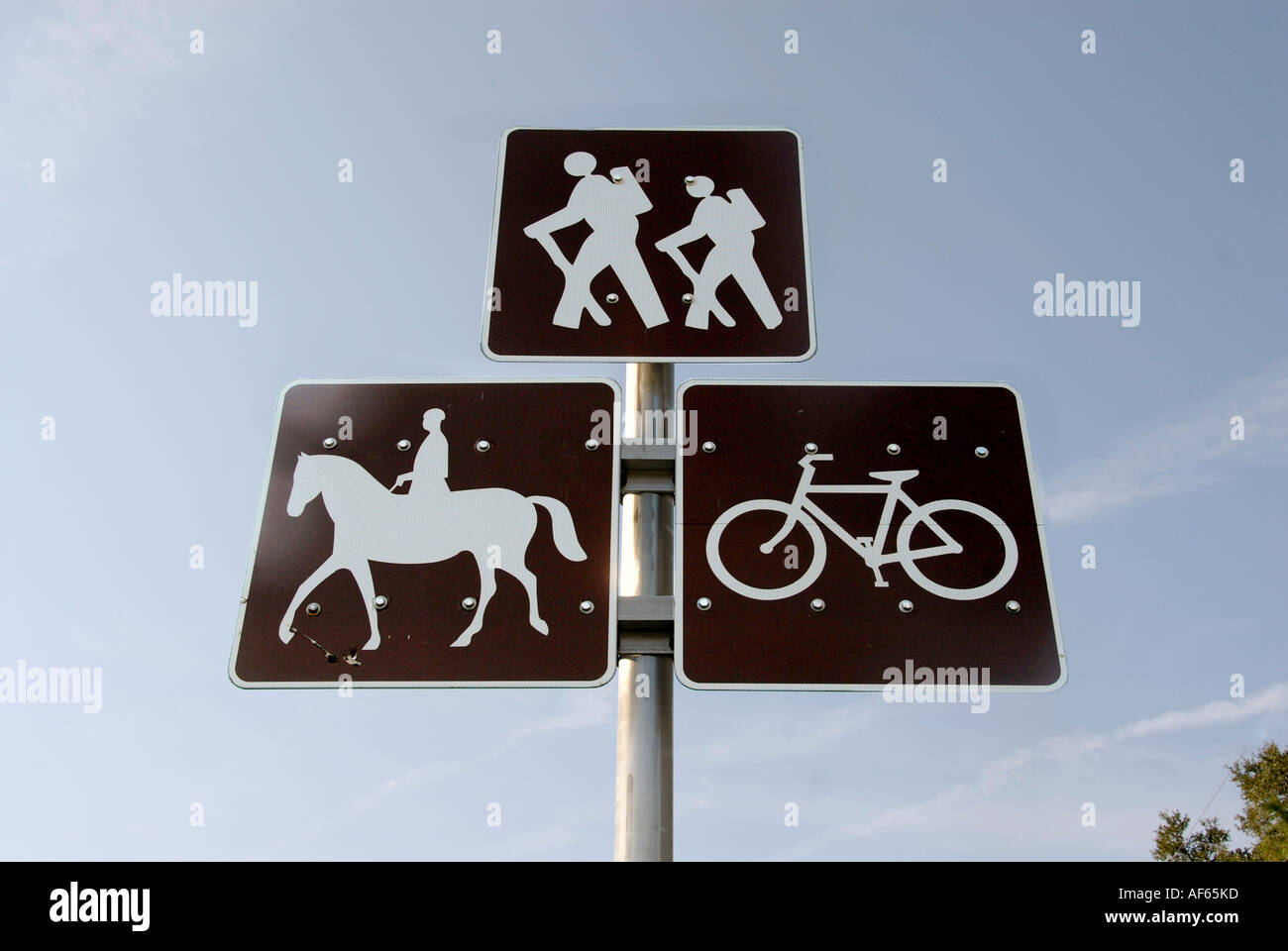 Automobile signs along the road at Ocala National Forest recreation ...