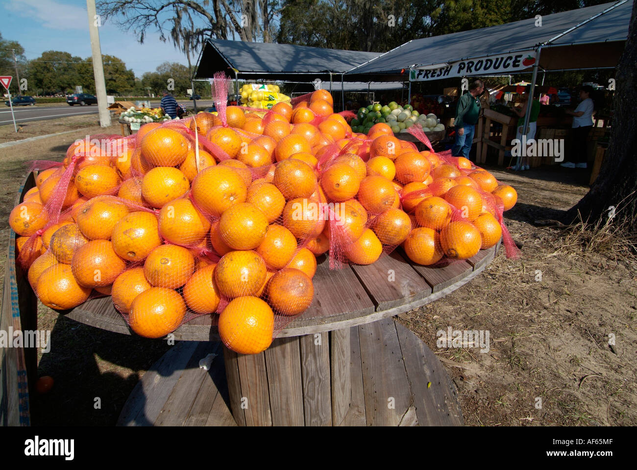 Oranges for sale at a Naples Florida FL roadside fruit and vegetable ...