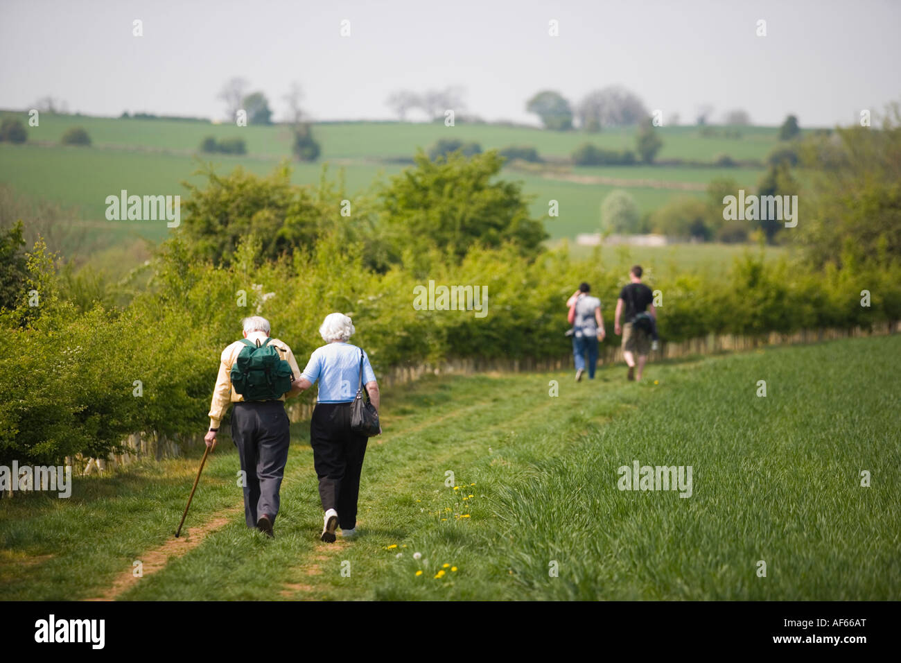 Elderly walkers on a countryside footpath in the Cotswolds, UK Stock ...