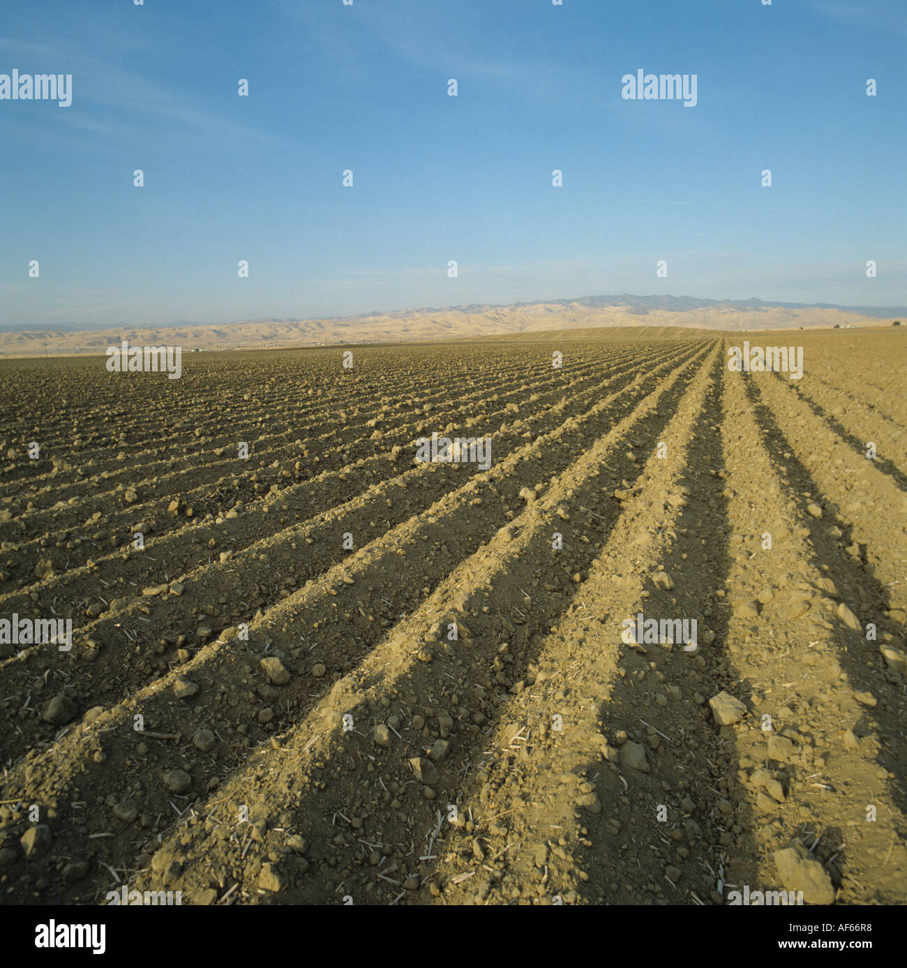 Potato field ridges hi-res stock photography and images - Alamy