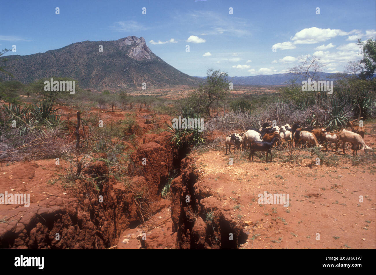 Gully erosion africa hi-res stock photography and images - Alamy