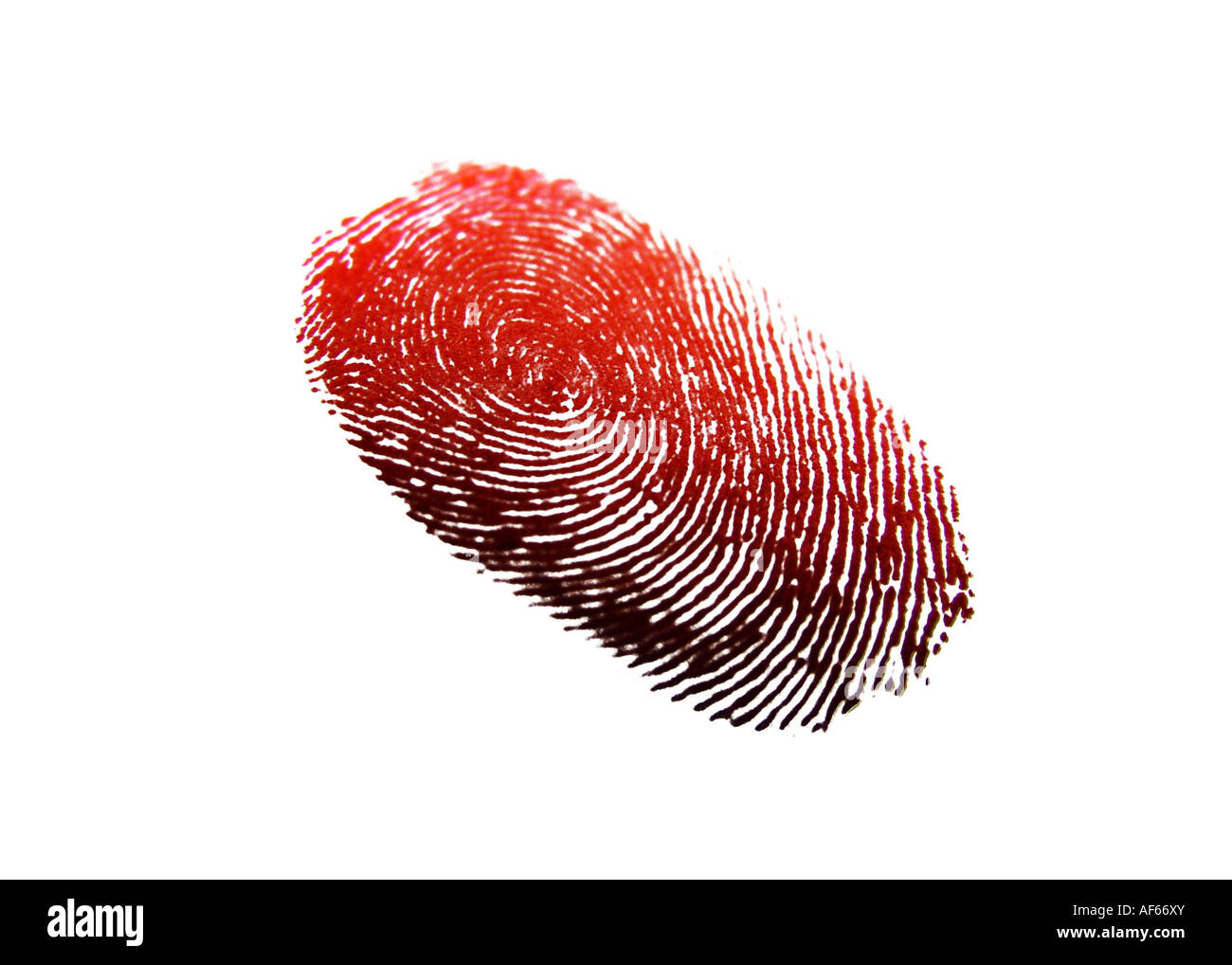 Detective finger prints hi-res stock photography and images - Alamy