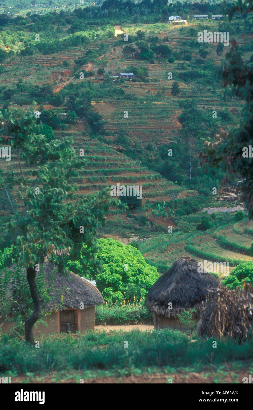 Landscape in Tanzania Stock Photo - Alamy