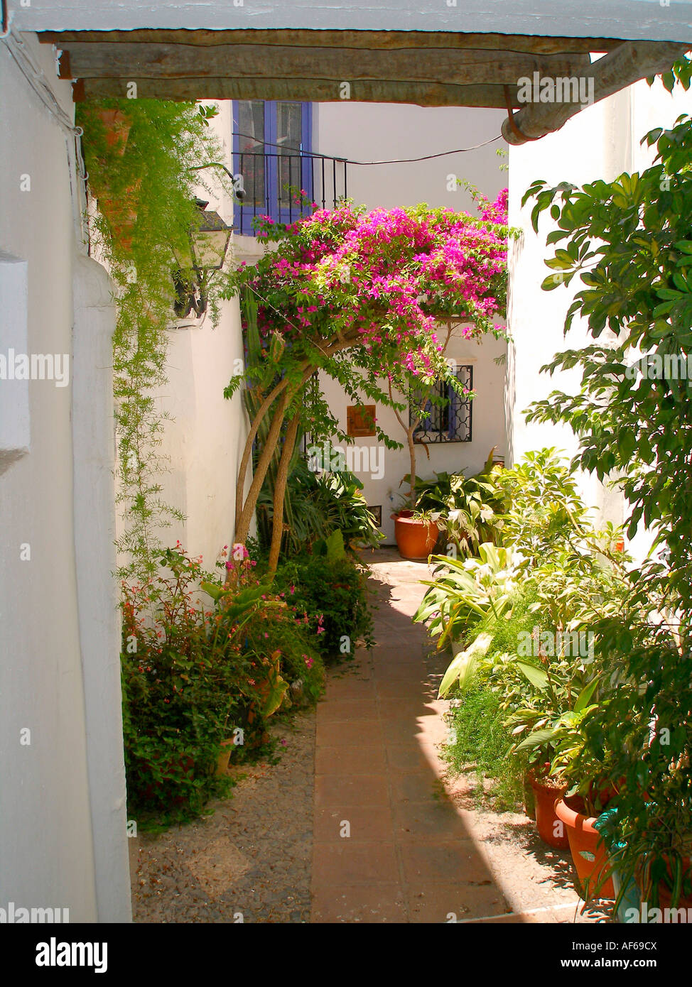 Courtyard of Spanish Building Stock Photo - Alamy