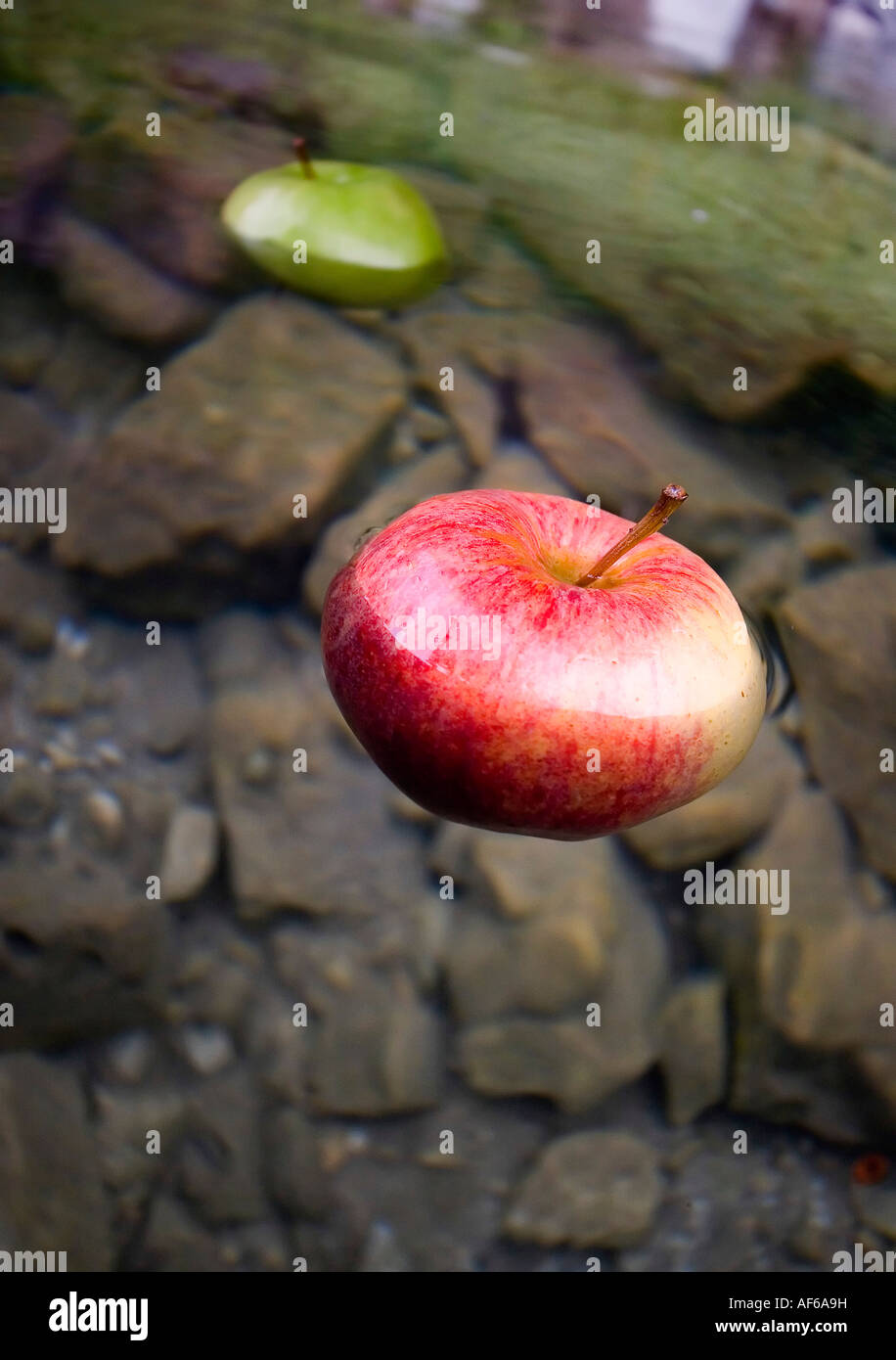 Unusual apples hi-res stock photography and images - Alamy