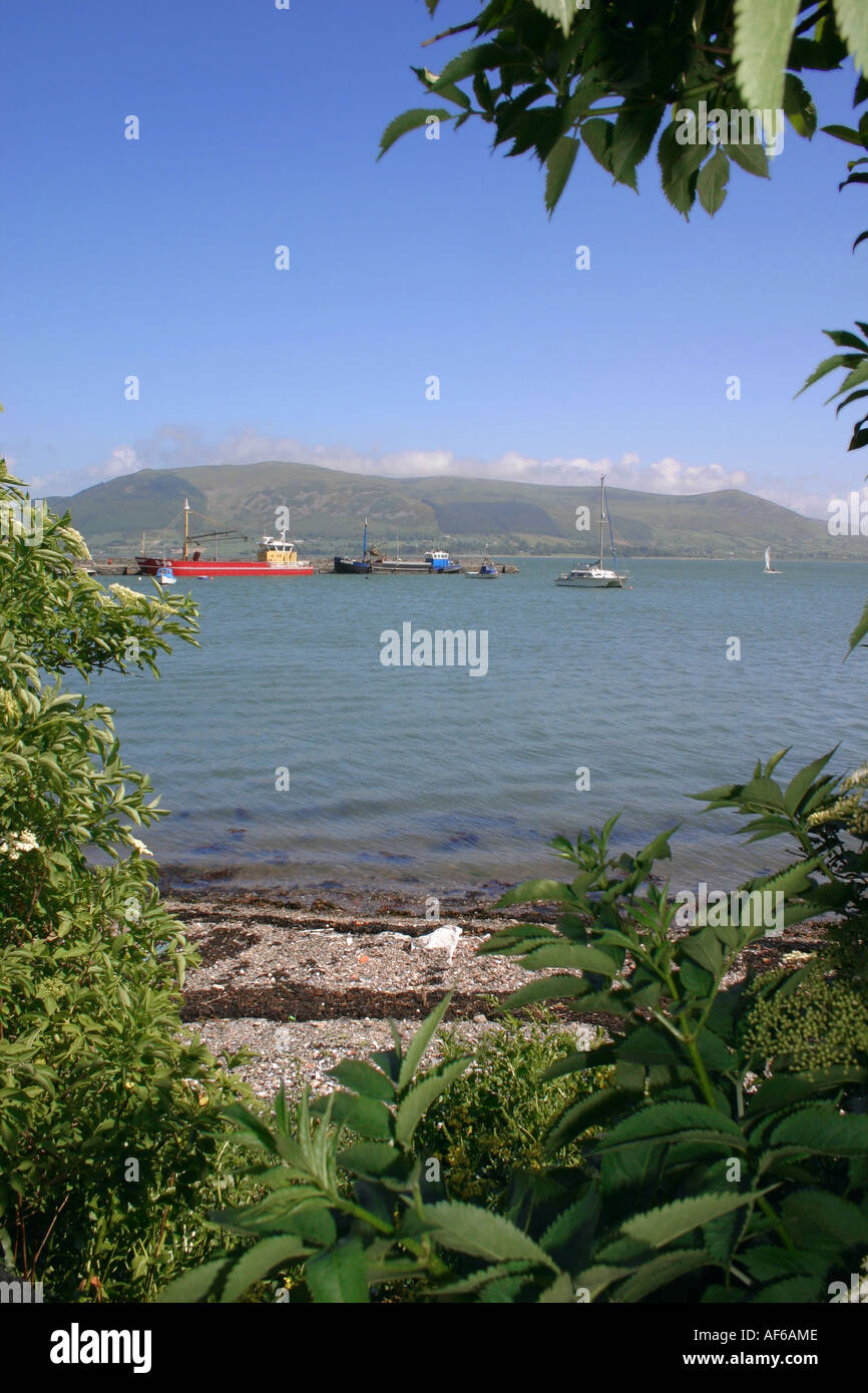 Shoreline carlingford lough hi-res stock photography and images - Alamy
