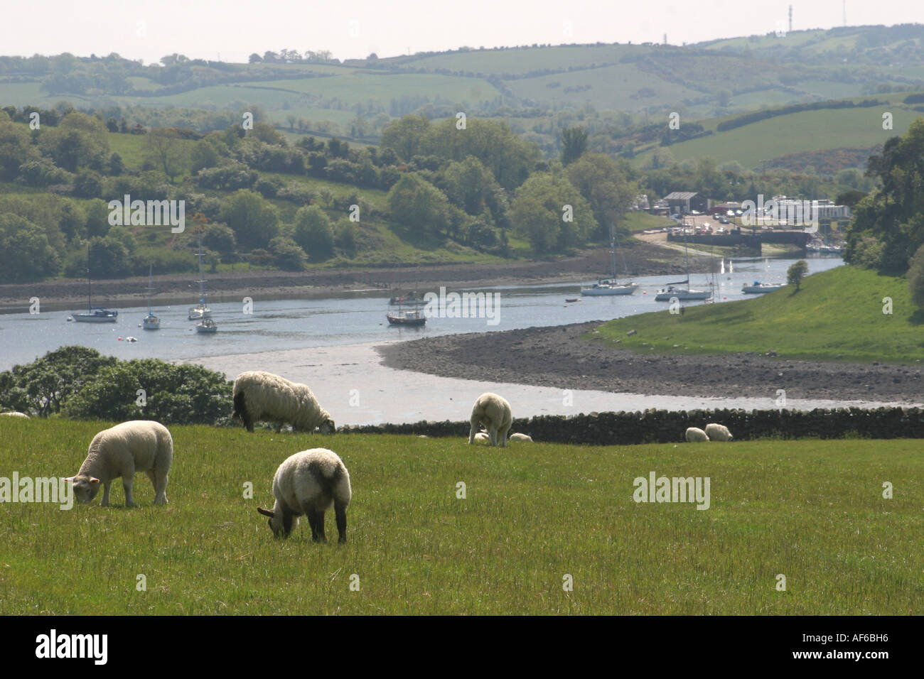 Delamont country park strangford lough hi-res stock photography and ...