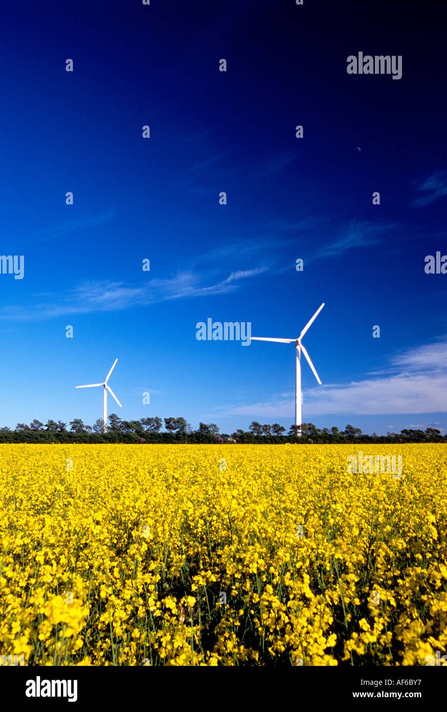 Modern wind turbines (Vestas Stock Photo - Alamy
