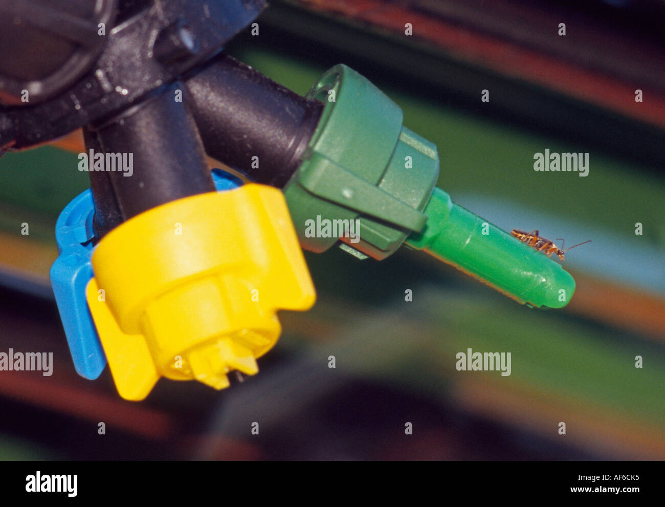 A bug sitting on a spray nozzle Stock Photo - Alamy