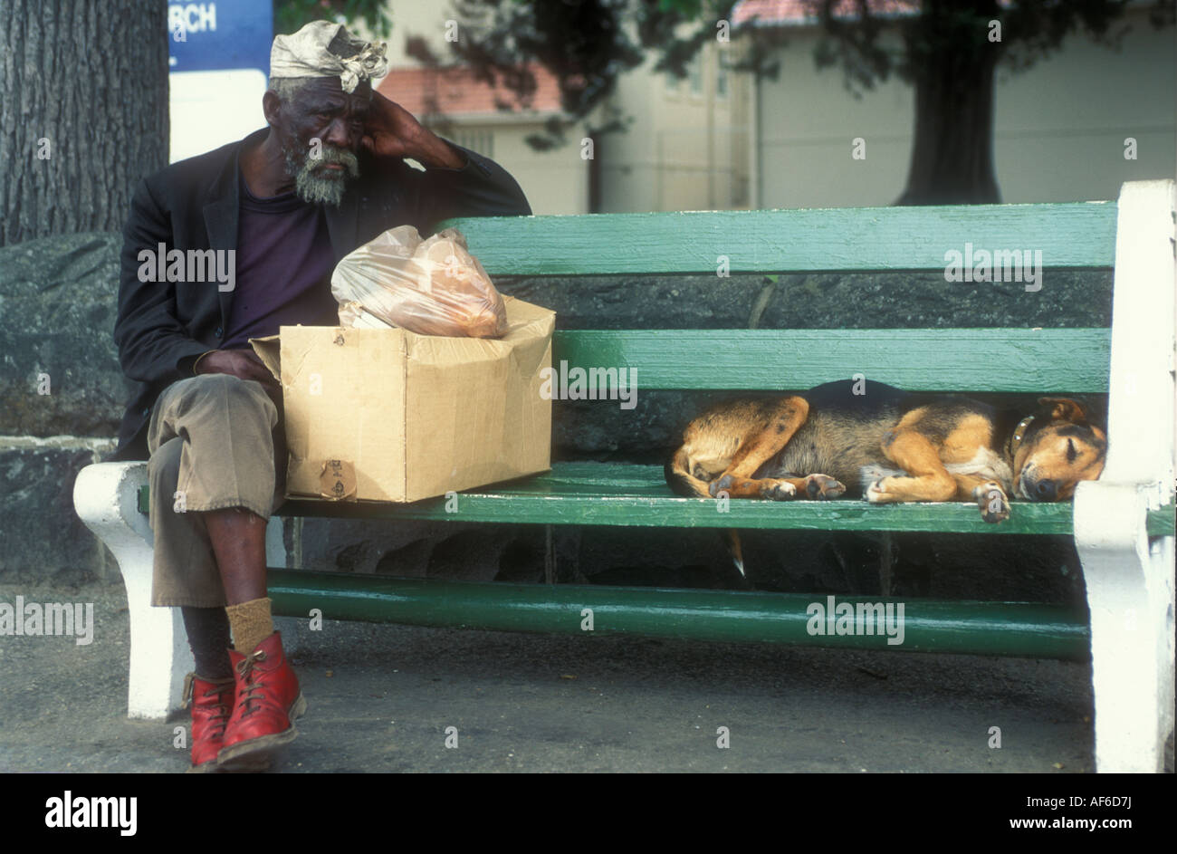 Homeless man dog bench hi-res stock photography and images - Alamy