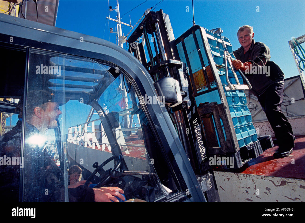 Forklift unloading fish crates from a trawler in hirtshals denmark ...