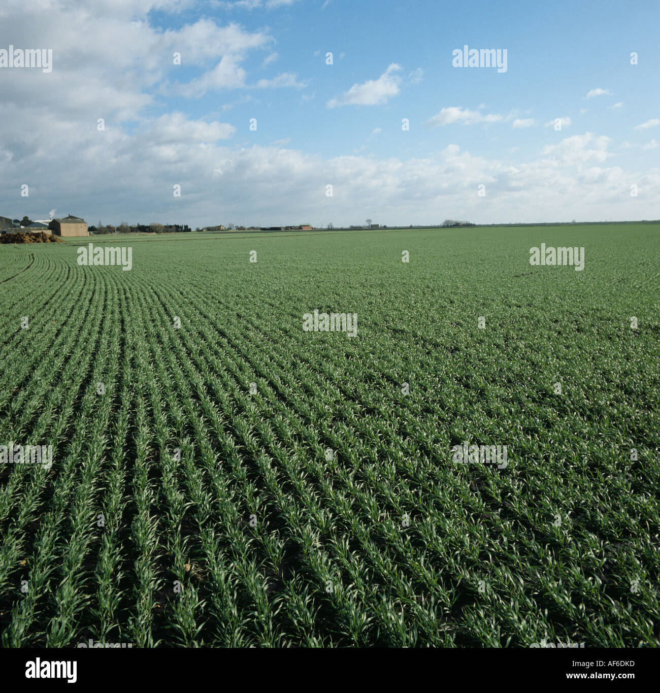Fenland hi-res stock photography and images - Alamy