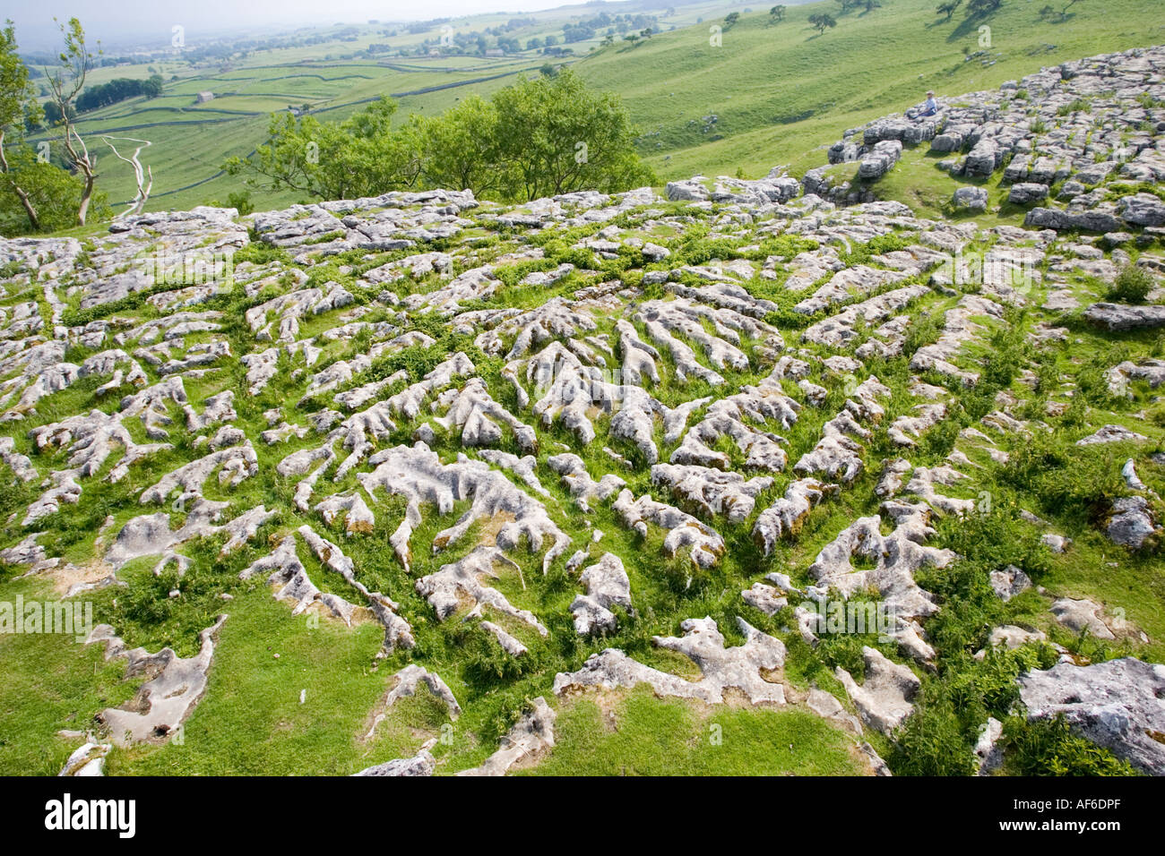 Acid rain limestone erosion hi-res stock photography and images - Alamy
