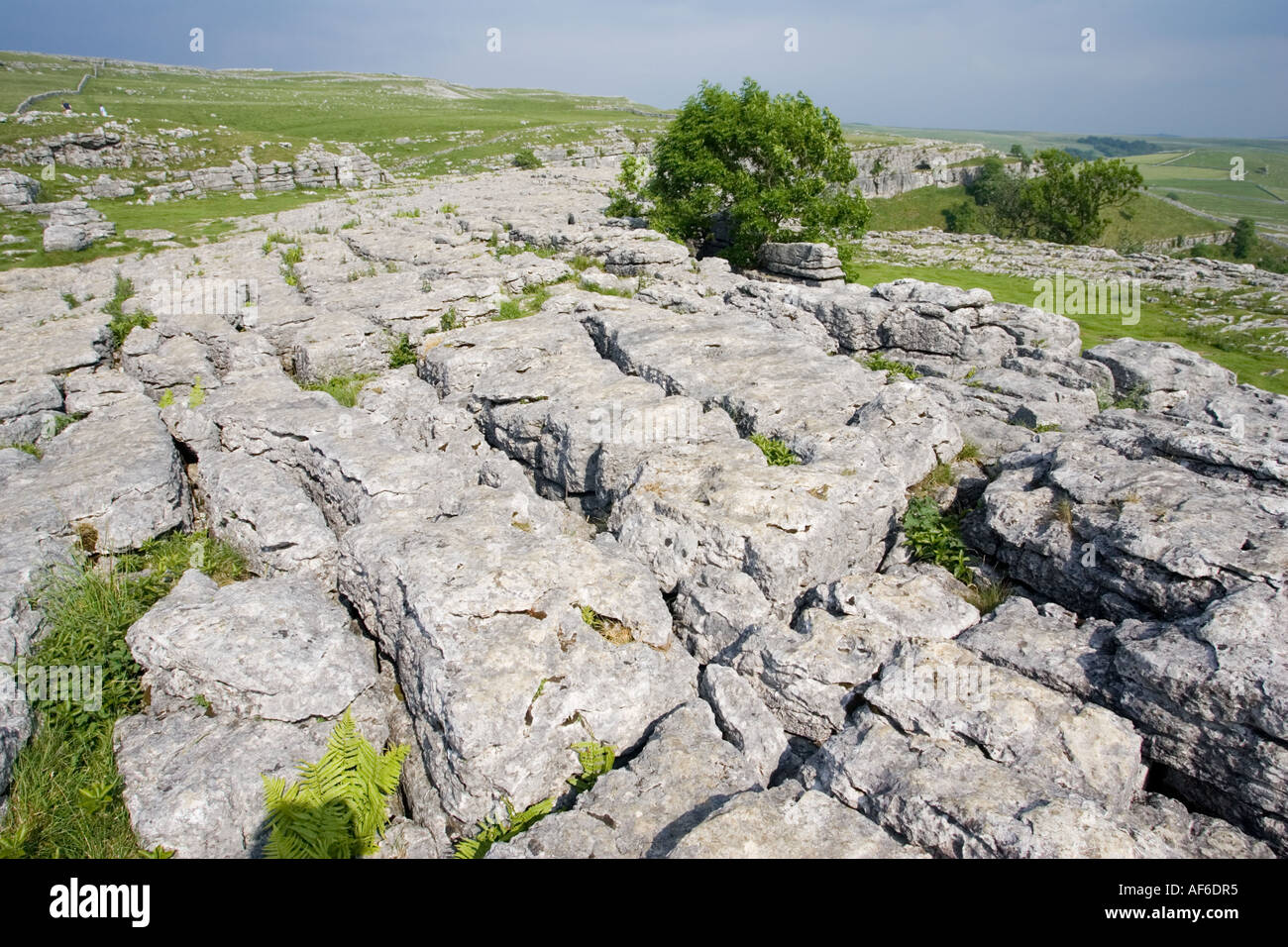 Limestone acid rain hi-res stock photography and images - Alamy Limestone acid rain hi-res stock photography and images - Alamy