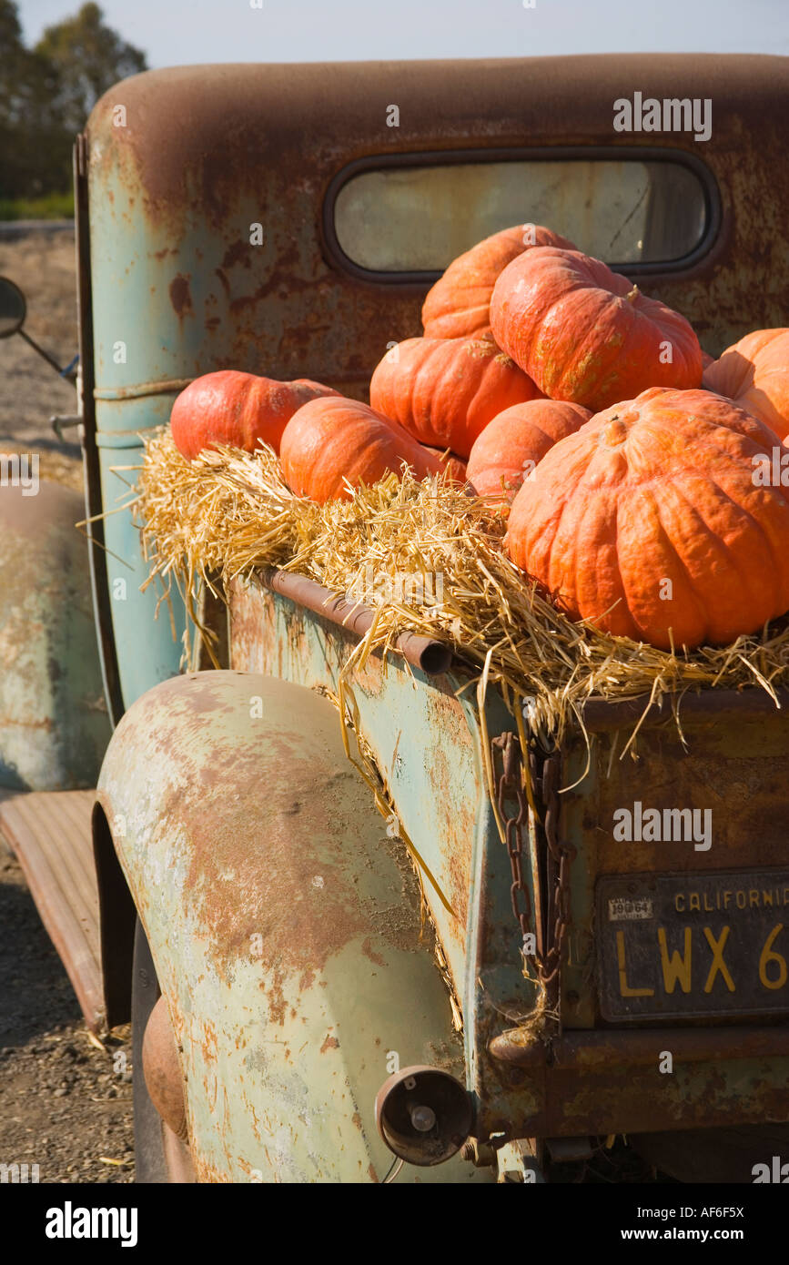 pumpkins and old pickup truck at Solvang Farmer Pumpkin Patch Solvang ...