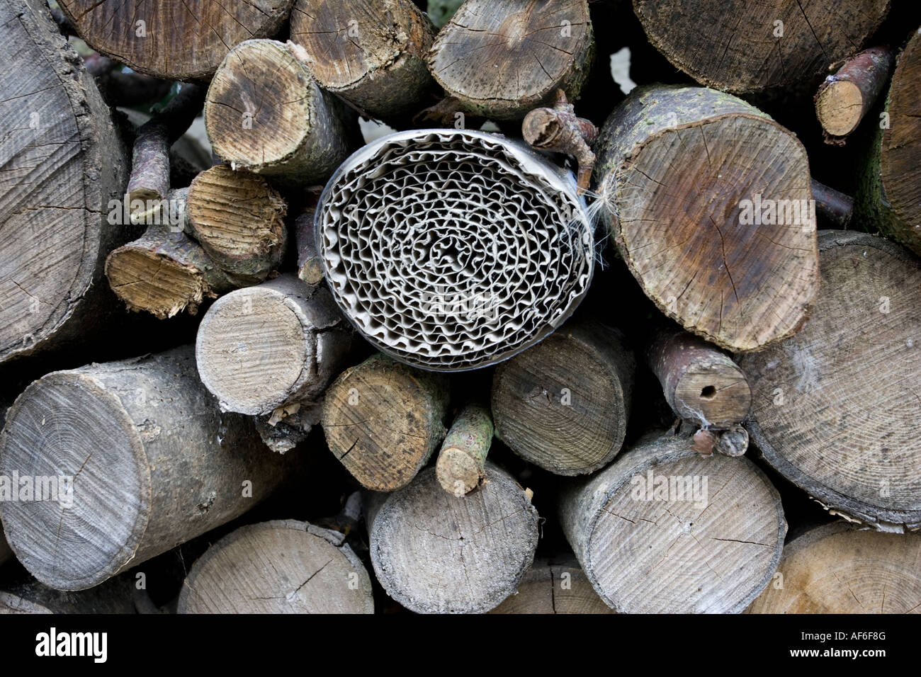 Insect or bug hotel made from plastic bottle and roll of corrugated ...