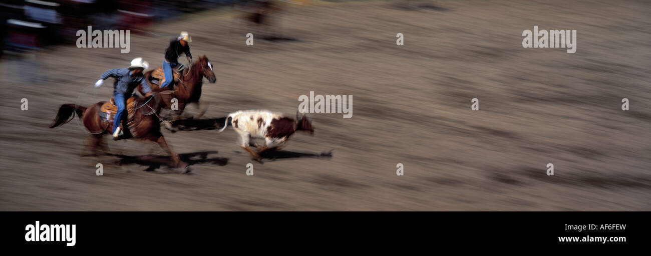 Cowboys team roping rodeo event hi-res stock photography and images - Alamy
