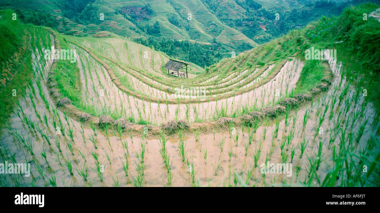 World Travel. The beautiful Chinese nature of Longji rice terraces in ...