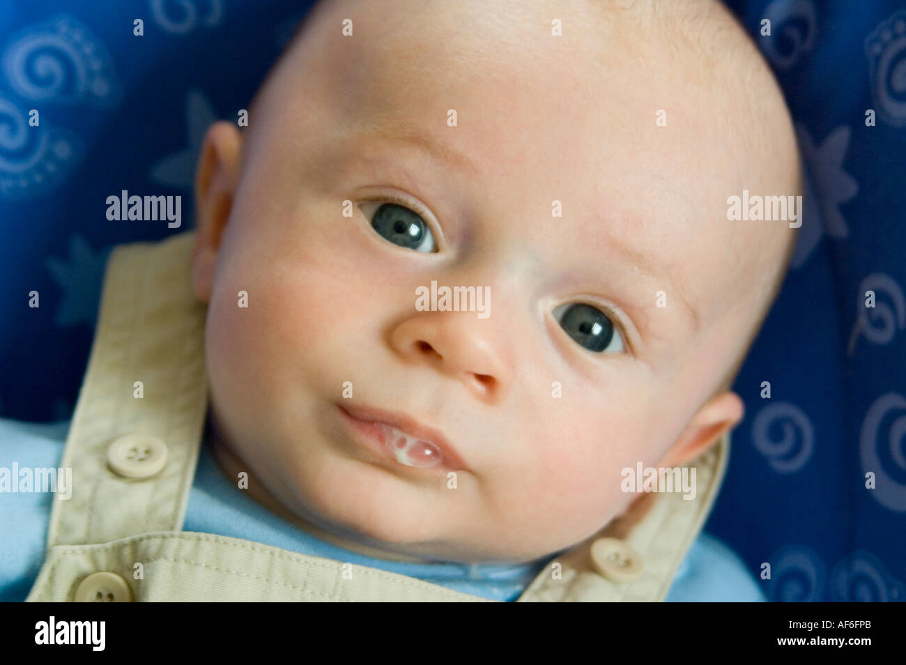 Saliva dribble hi-res stock photography and images - Alamy