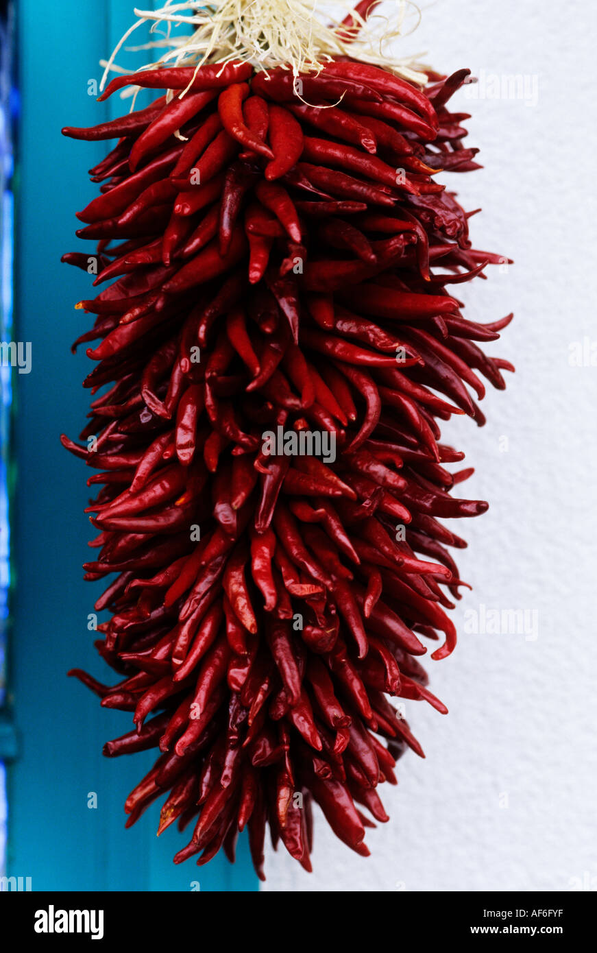 Chili pepper ristra in Albuquerque, New Mexico Stock Photo - Alamy