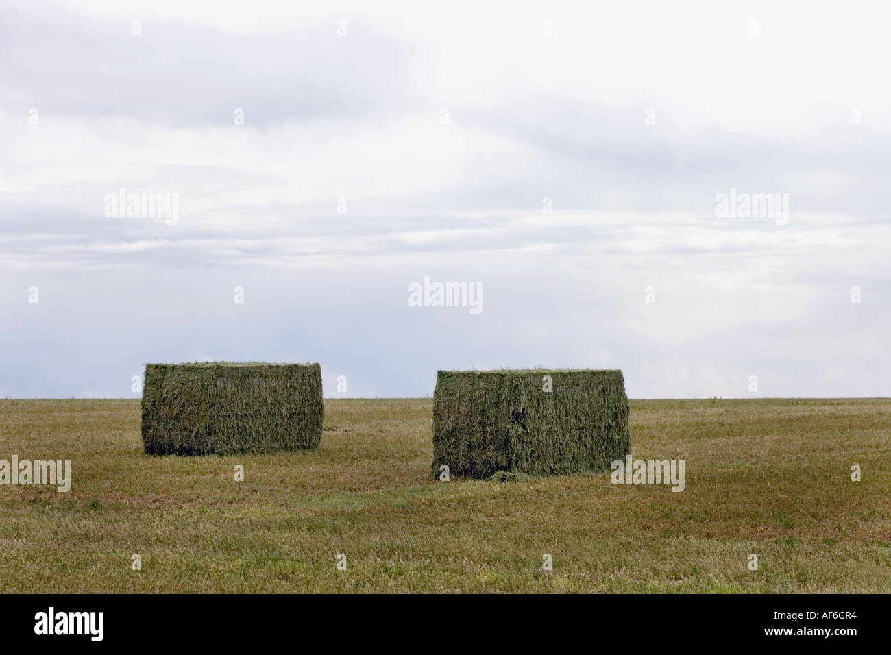 Bail of silage hi-res stock photography and images - Alamy