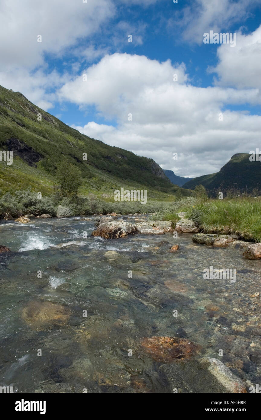 Crystal clear stream in Norway, near Flåm Railway and Myrtlefjord Stock ...