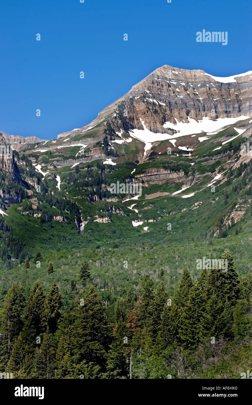 Timp timpanogos hi-res stock photography and images - Alamy