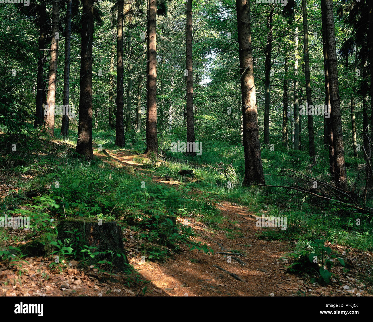 Hesse land hi-res stock photography and images - Alamy