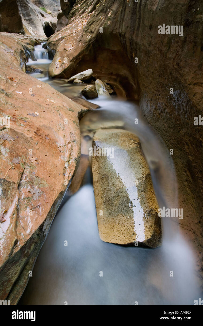 Orderville slot canyon, Narrows, zion national park Stock Photo - Alamy