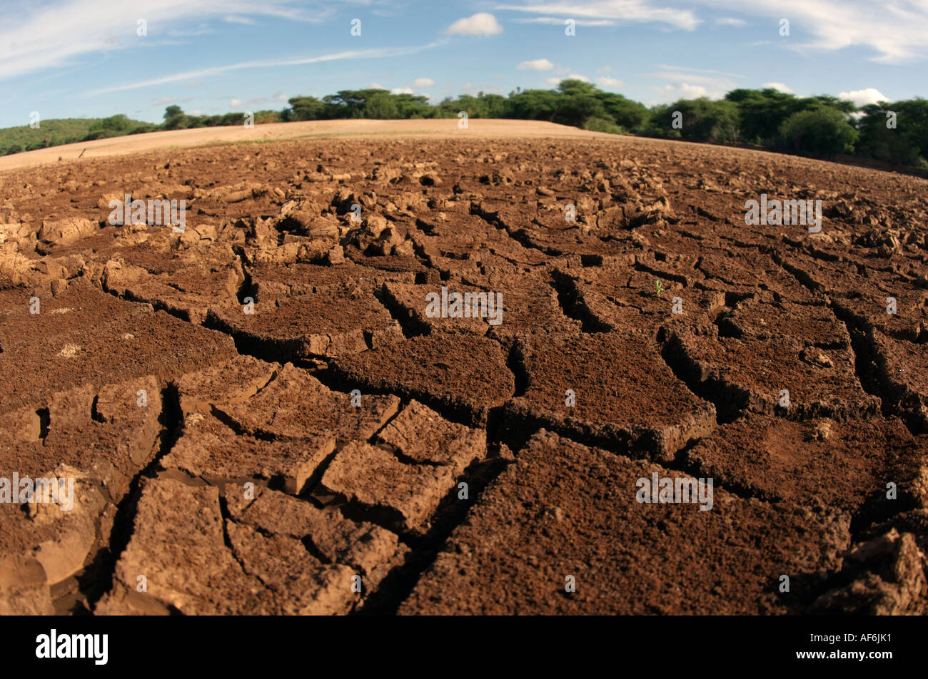 Nomadic Somali tribes using camels to carry their entire houses in ...