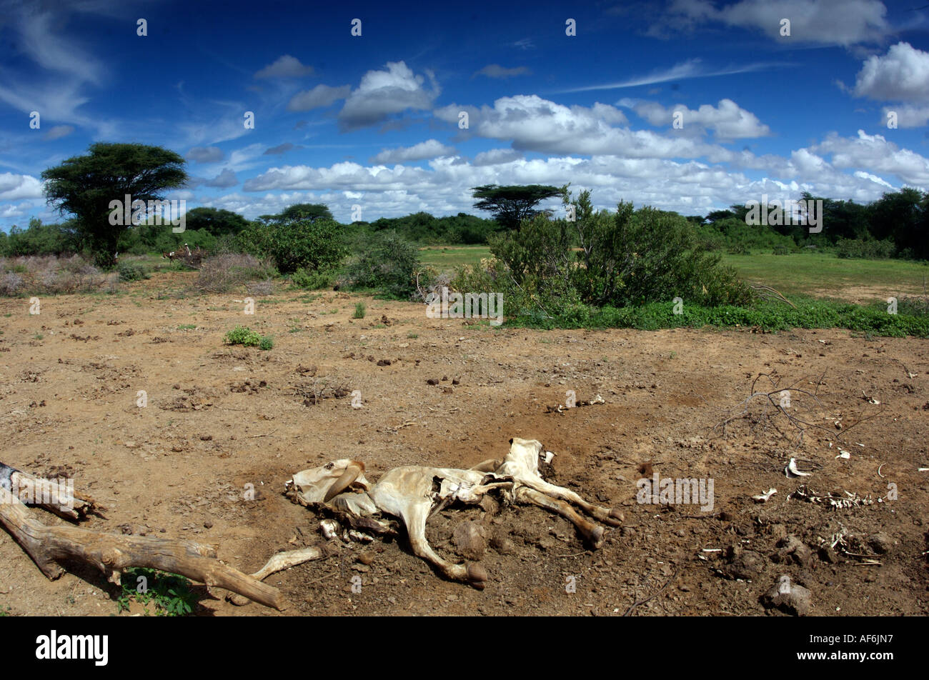 Somali tribe hi-res stock photography and images - Alamy