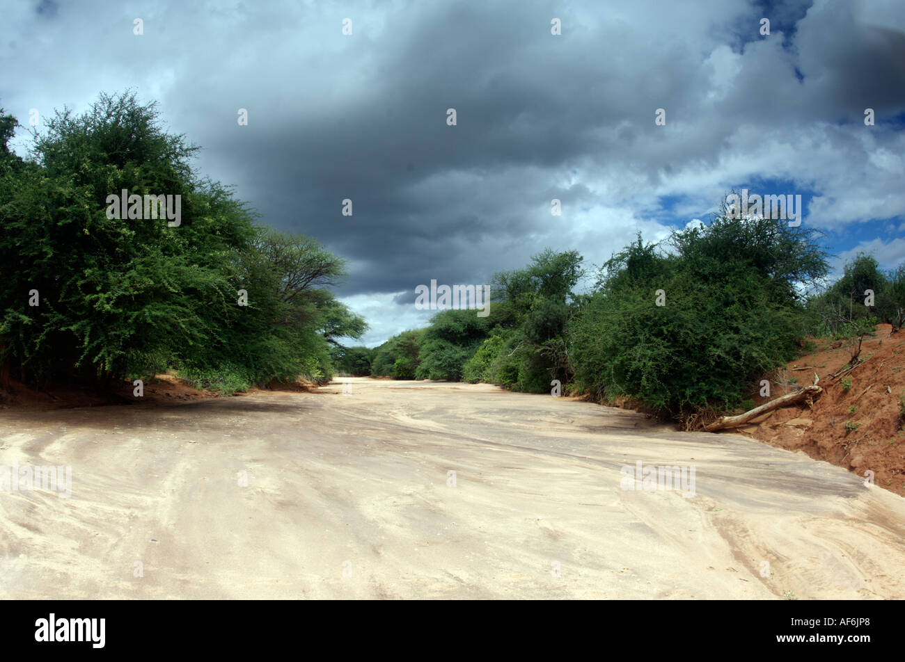 Nomadic Somali tribes using camels to carry their entire houses in ...