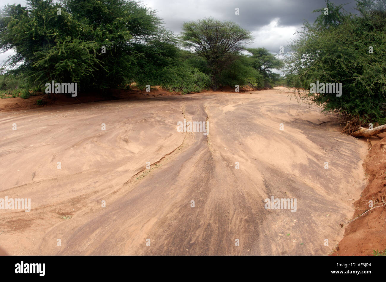 Nomadic Somali Tribes High Resolution Stock Photography and Images - Alamy