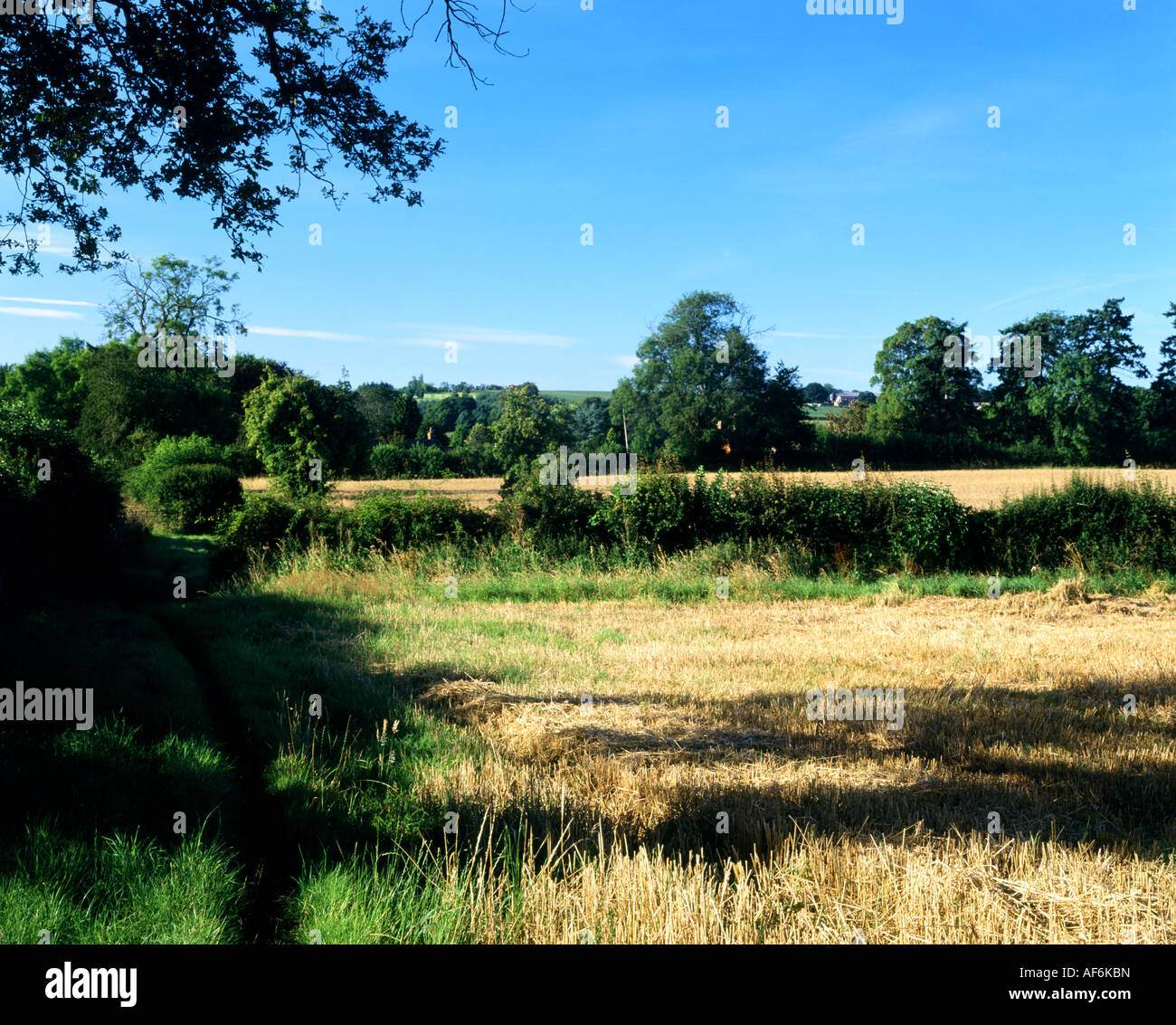 Breinton hi-res stock photography and images - Alamy